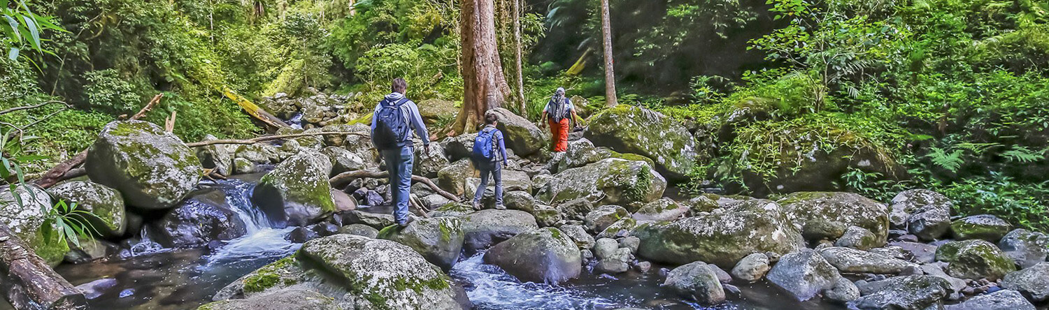 Canungra Creek | Canungra Hotel