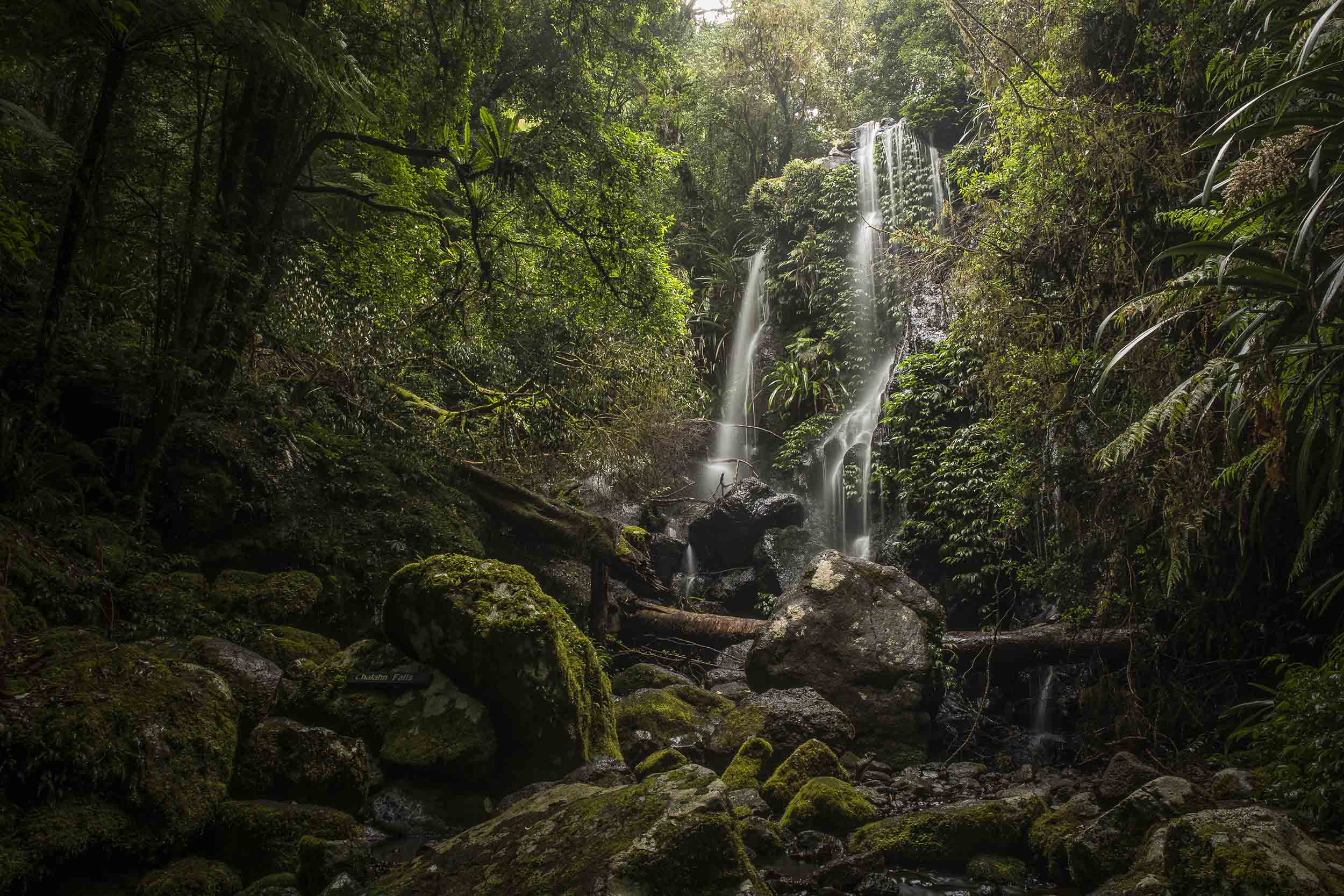 Canungra & Scenic Rim | Canungra Hotel